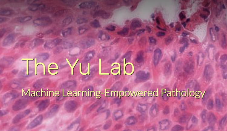 Yu Lab | Department of Biomedical Informatics