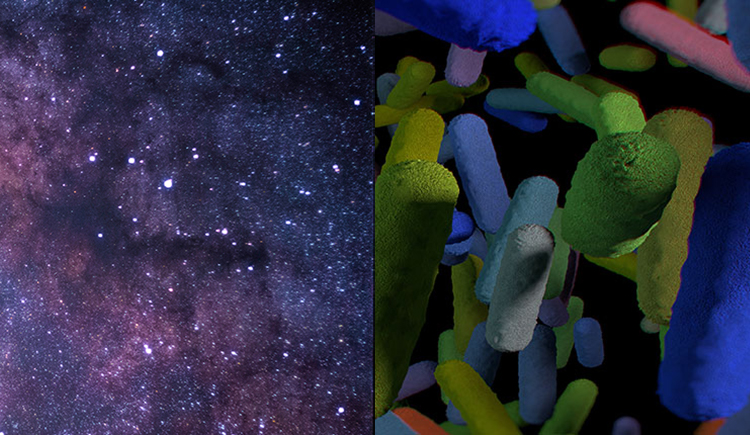 Microbial Fingerprinting | Department of Biomedical Informatics